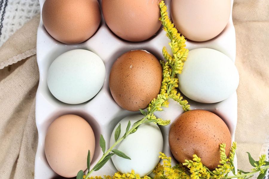 Eggs save your eyesight and help counteract retinal degeneration