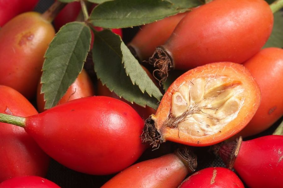 Natural beauty, the benefits of rose hips for the skin