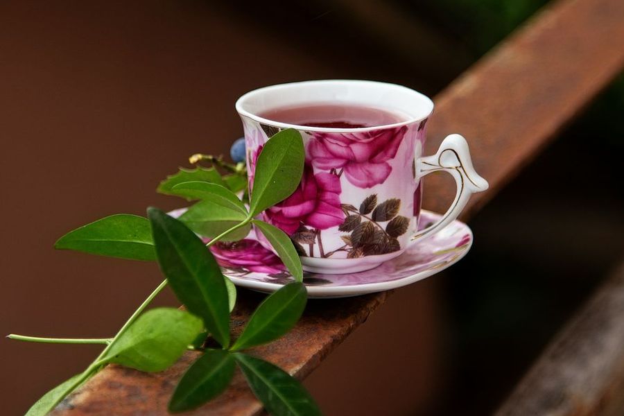 Purple tea, benefits, preparation and contraindications