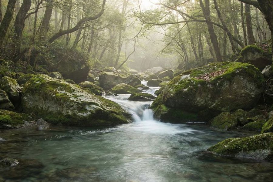 The art of Wu Wei: the oriental philosophy to conquer anxiety and ...