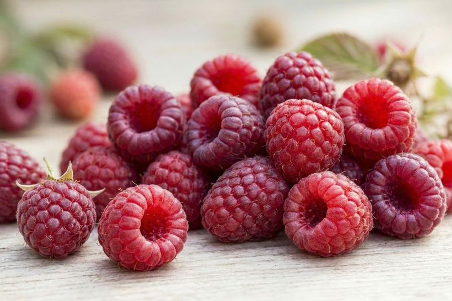 Raspberries: the superfood for heart and brain revealed by science