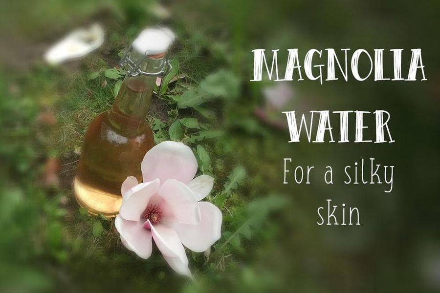 Magnolia water for a silky skin